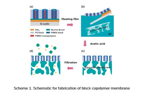 Research > Membrane > Block Copolymer Membrane 1 페이지